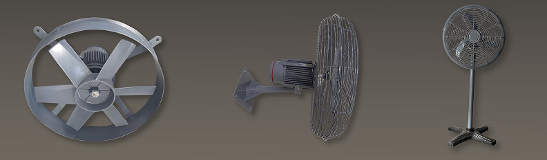 A Comprehensive Guide to Flameproof Enclosures and Preventive Maintenance